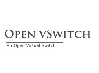 OVS初级教程：使用Open vSwitch构建虚拟网络_ovs教程-CSDN博客